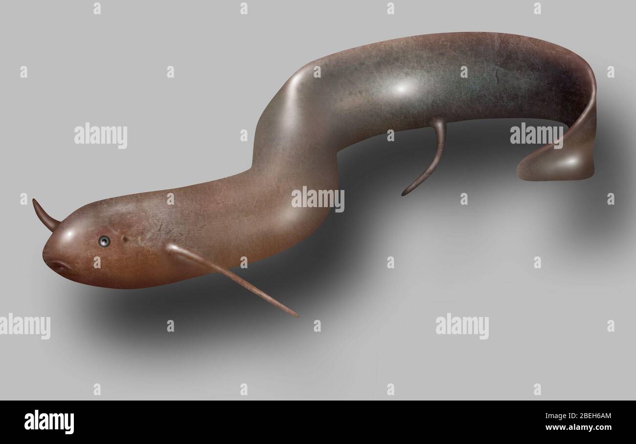 Epromo Nature Illustration High Resolution Stock Photography and Images ...