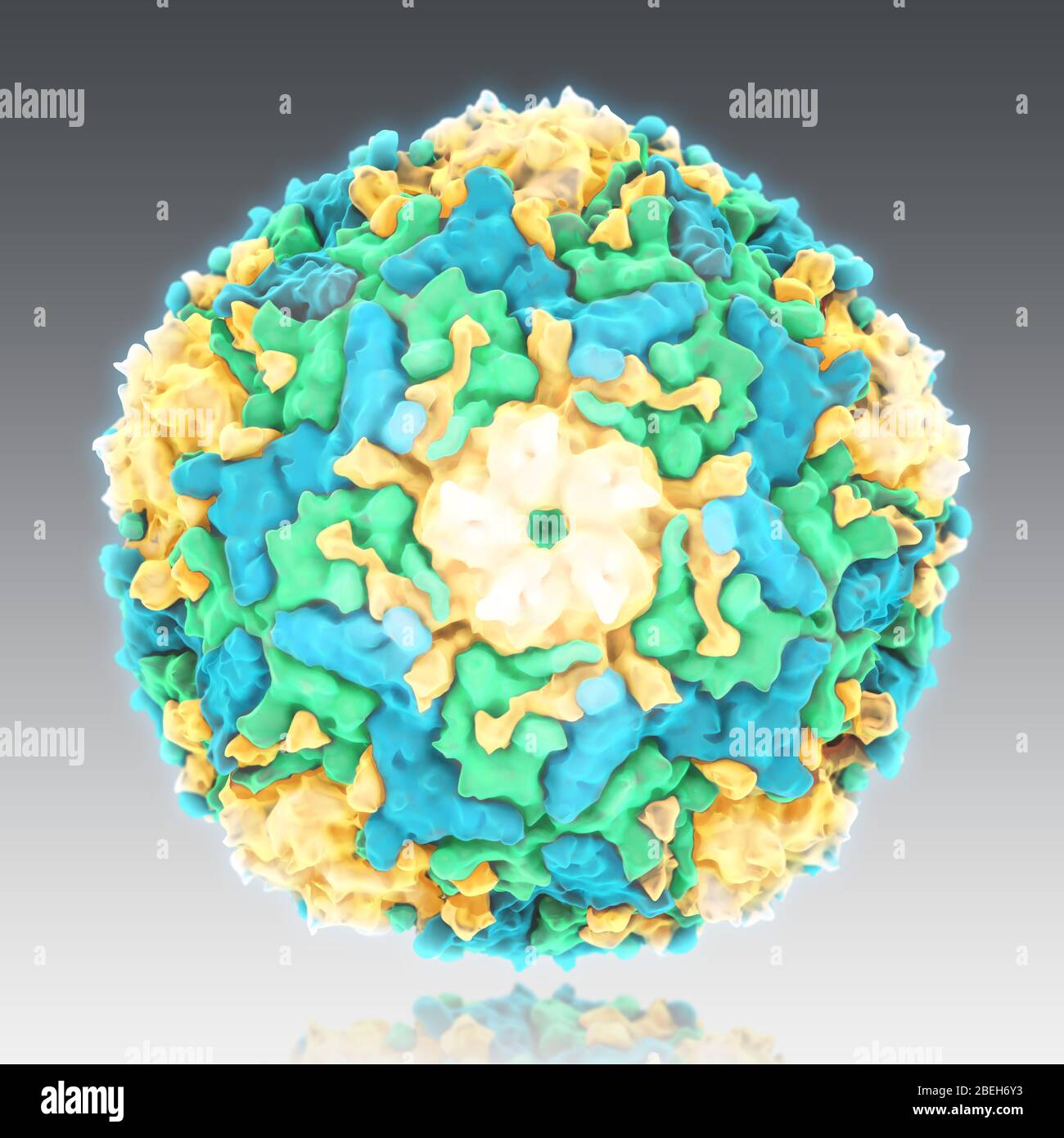 Enterovirus 71, molecular model Stock Photo - Alamy