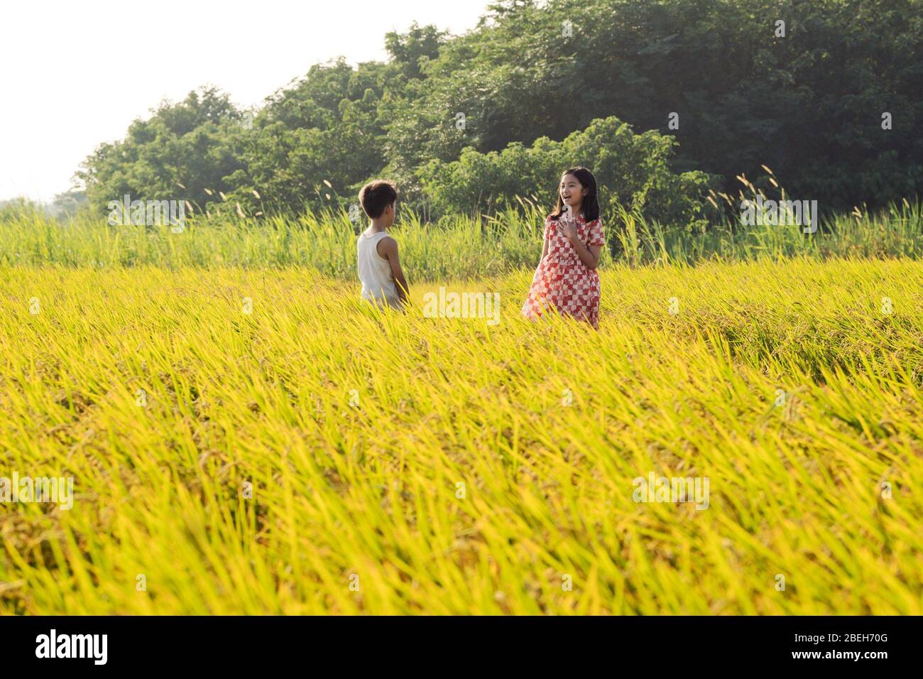 TIGERTAIL, 2020. ph: Chen Hsiang Liu / © Netflix / Courtesy Everett ...
