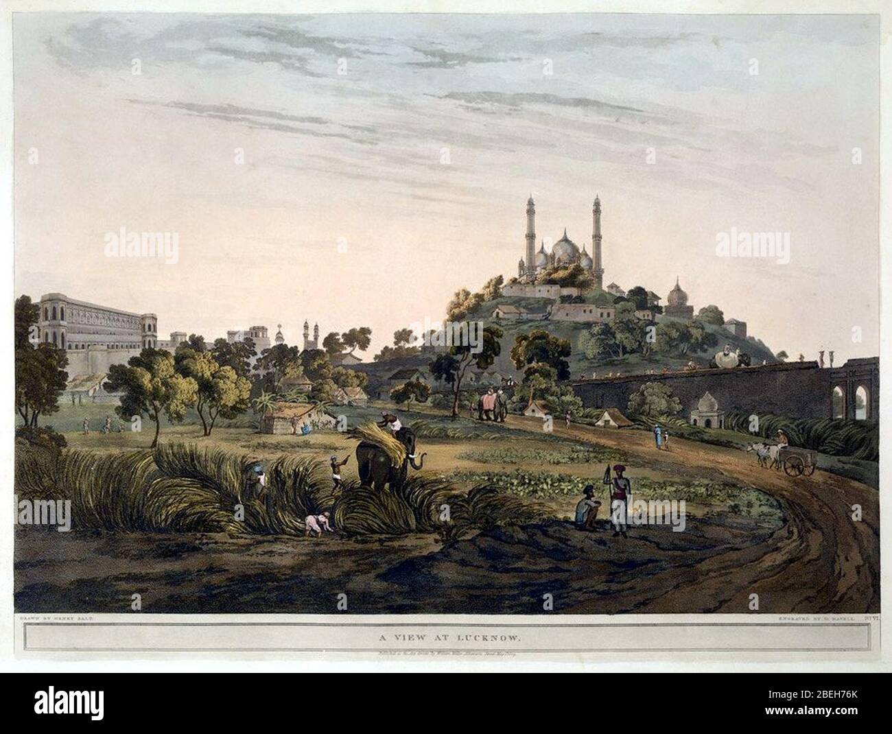 Henry salt hi-res stock photography and images - Alamy