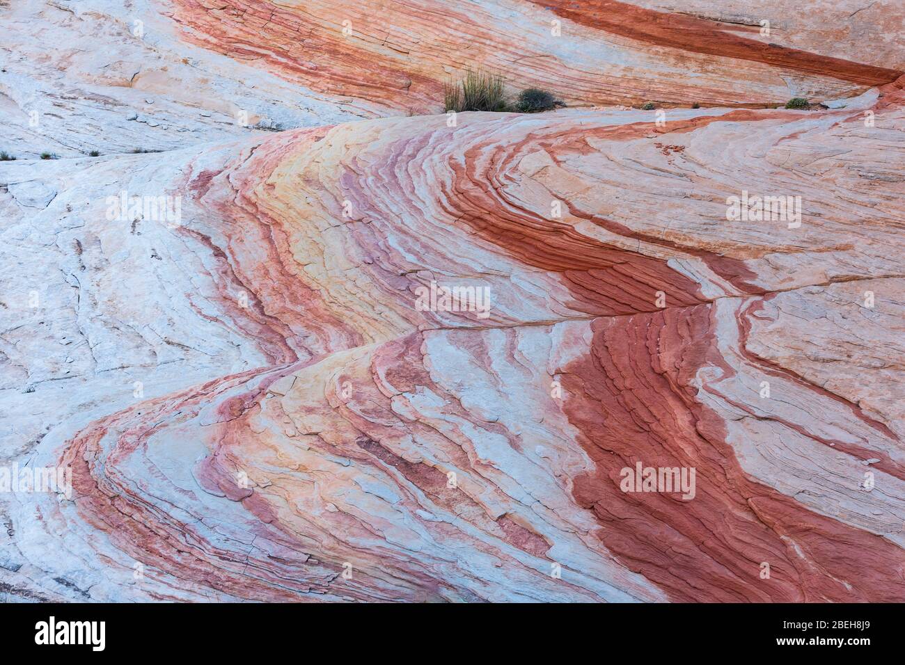 Colorful rock layers in Valley of Fire State Park Stock Photo - Alamy