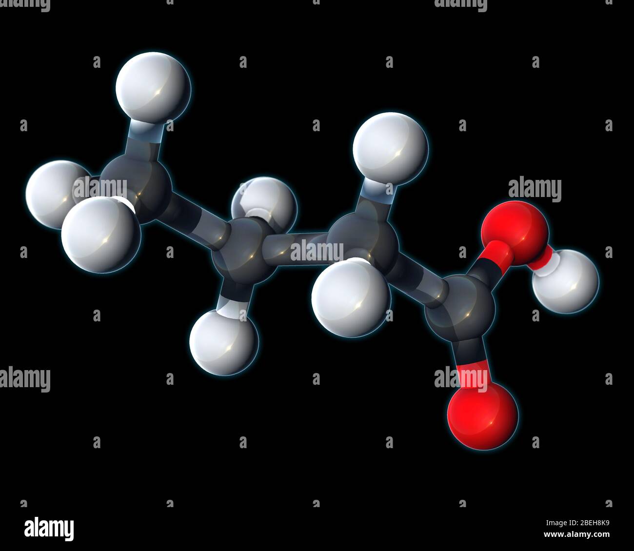 Butyric Acid, Molecular Model Stock Photo - Alamy