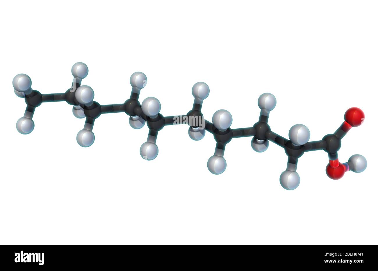 Decanoic Acid, Molecular Model Stock Photo - Alamy