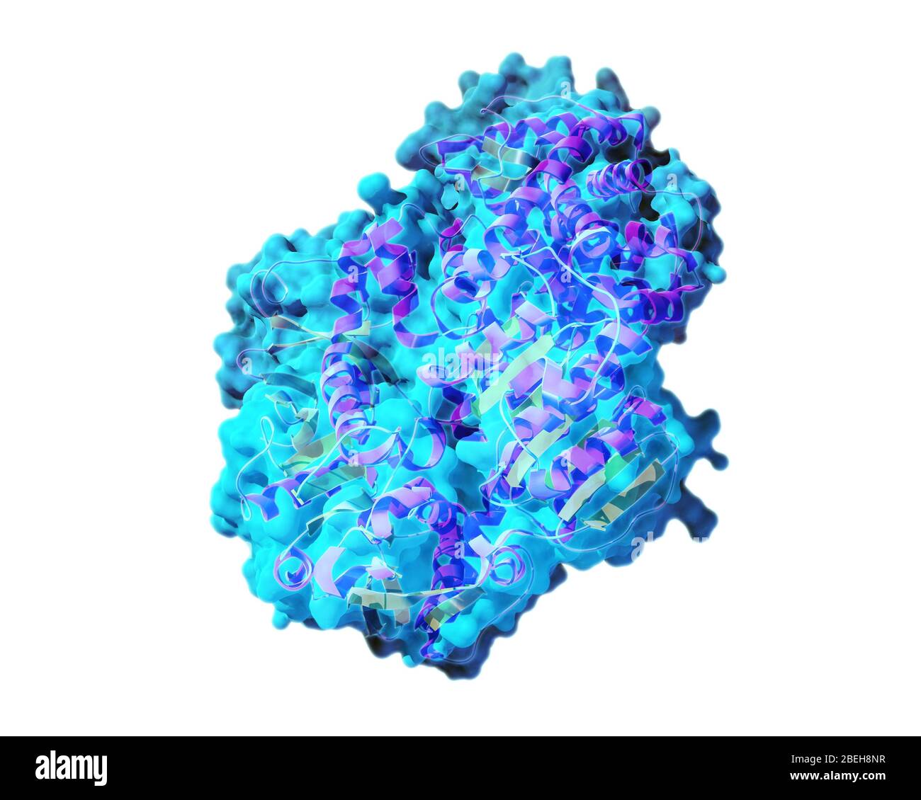Crispr cas hi-res stock photography and images - Alamy
