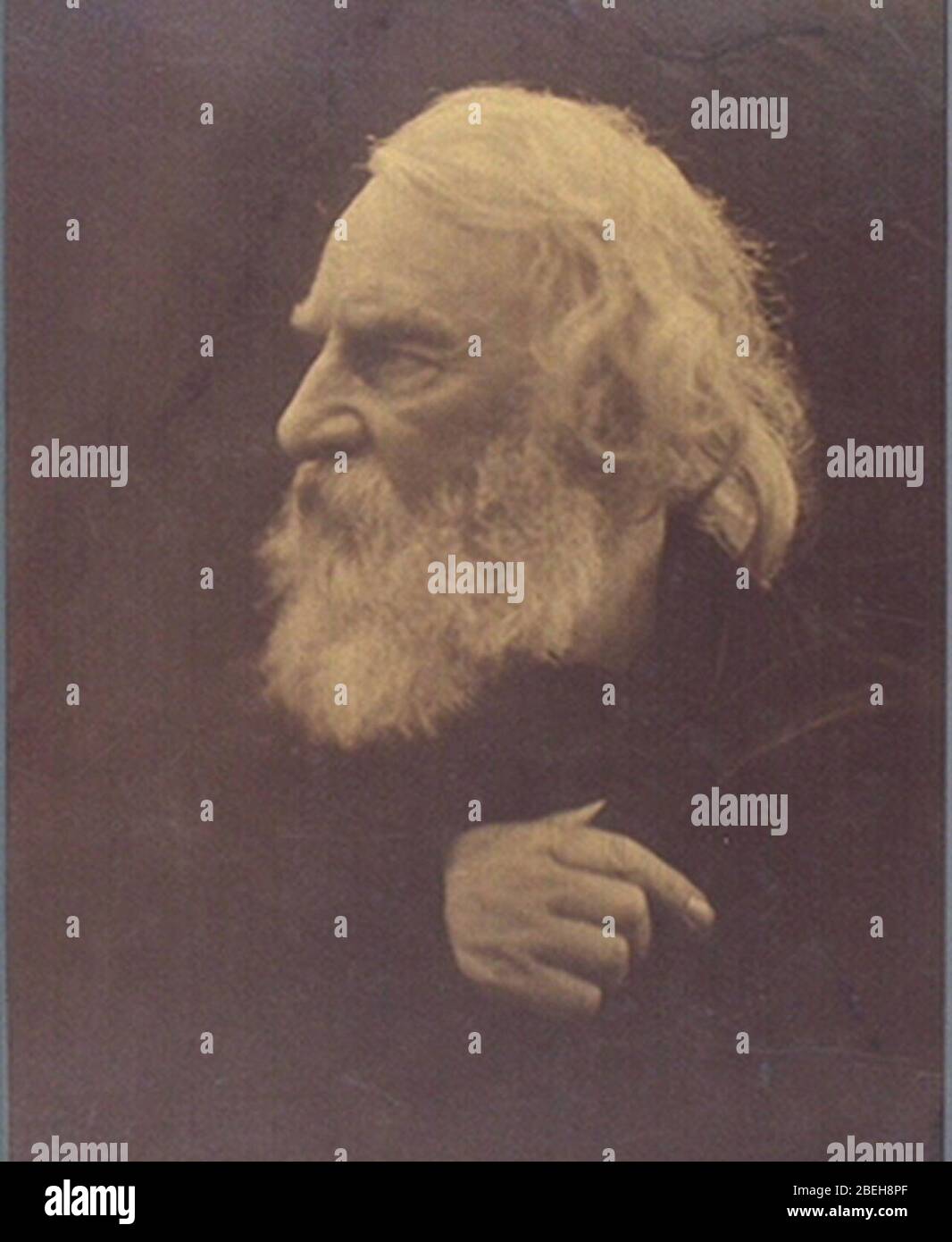 Henry W. Longfellow M198323980001 Stock Photo - Alamy