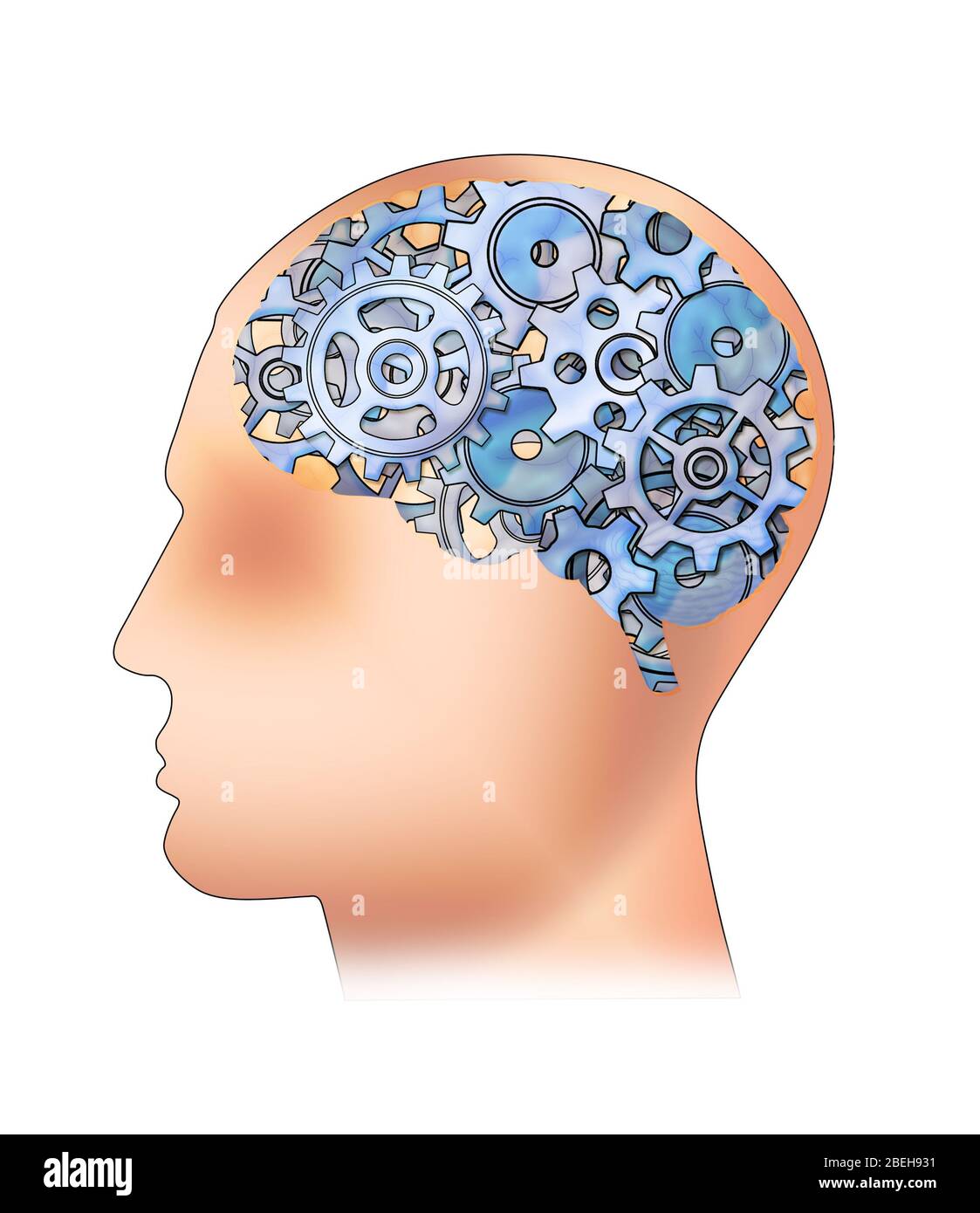 Conceptual learning Cut Out Stock Images & Pictures - Alamy