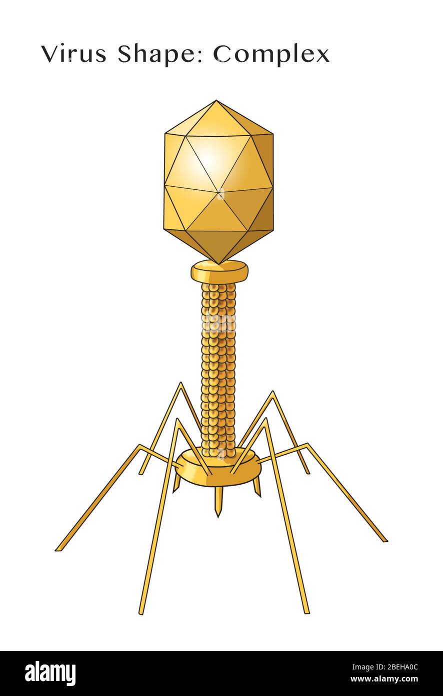 Virus Shape, Complex, Illustration Stock Photo - Alamy