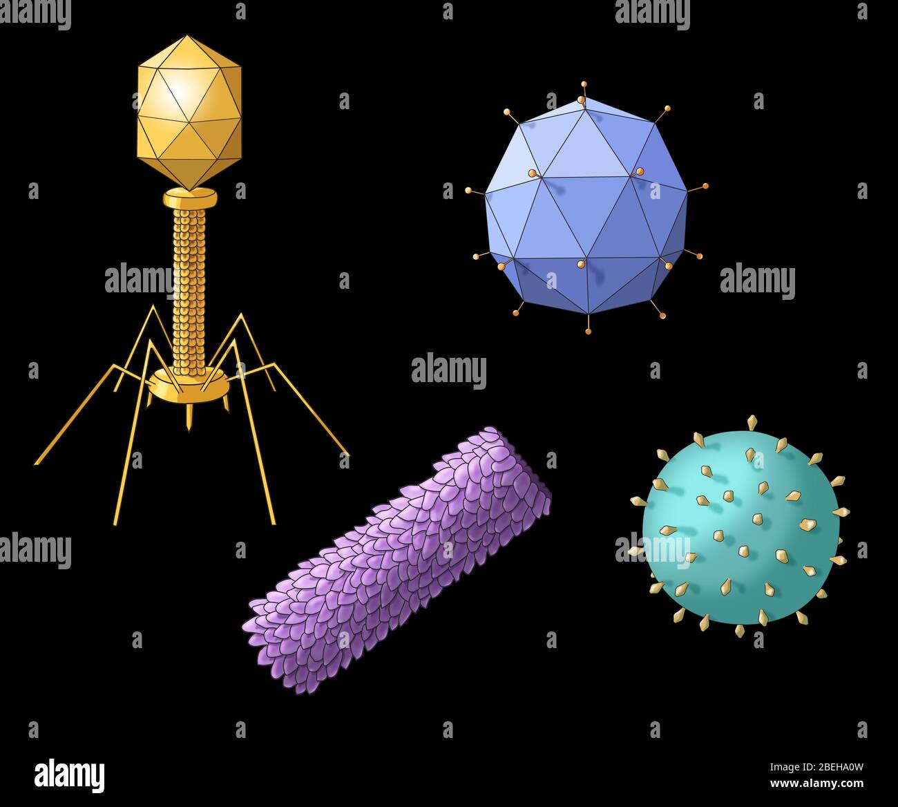 Helical shapes hi-res stock photography and images - Alamy