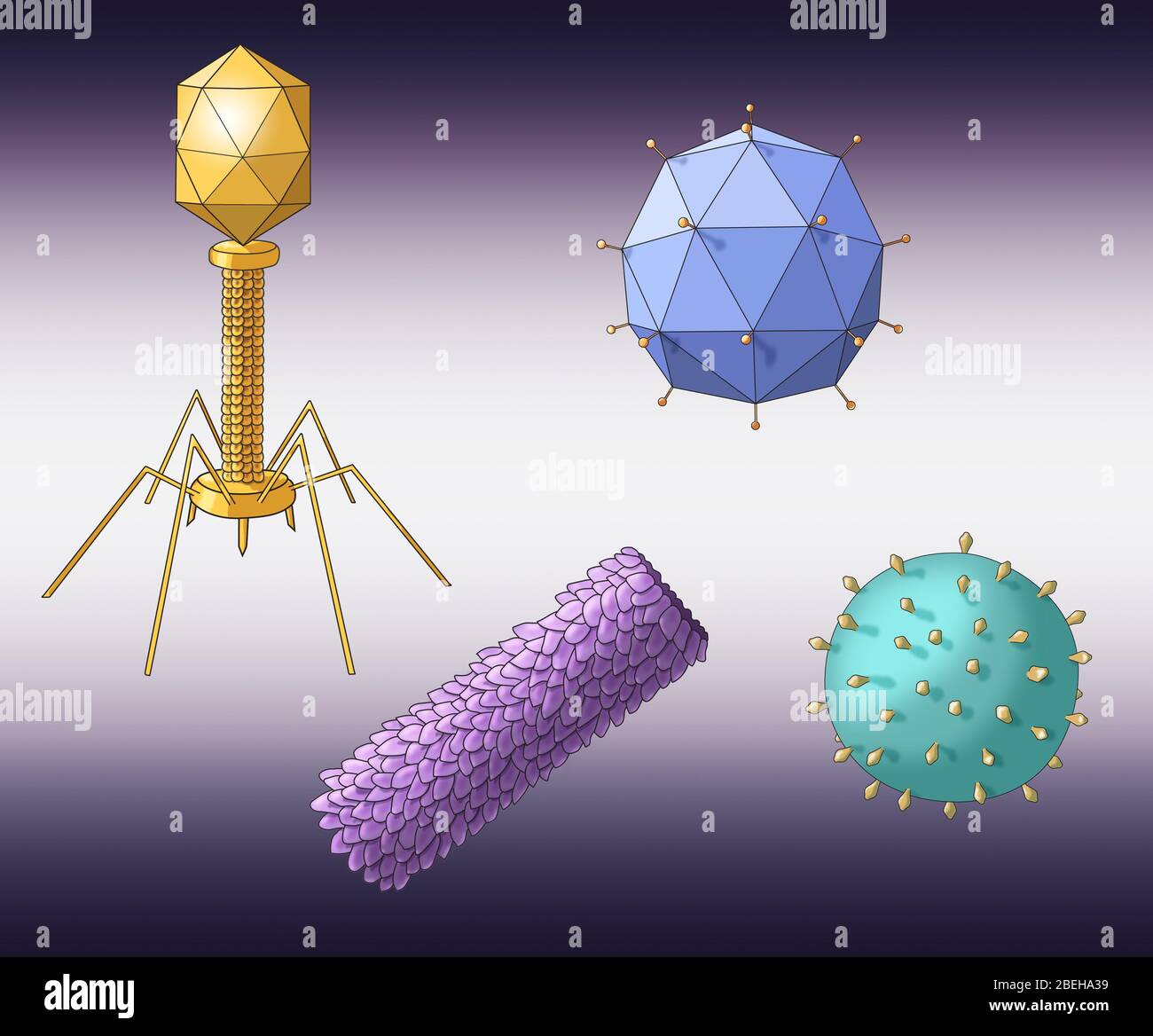 Polyhedral virus hi-res stock photography and images - Alamy