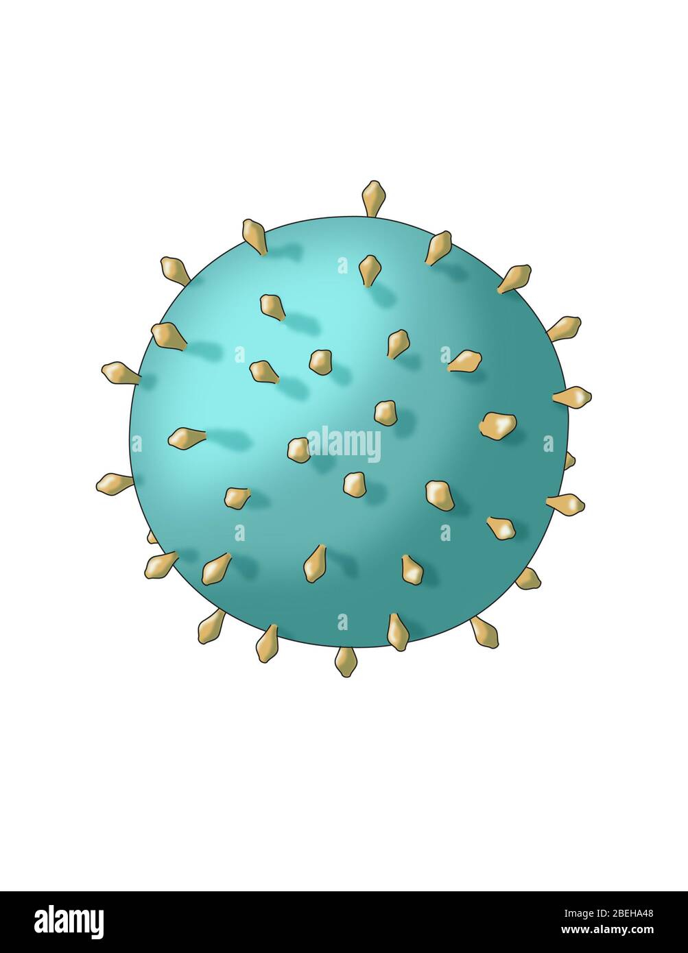 Enveloped virus hi-res stock photography and images - Alamy