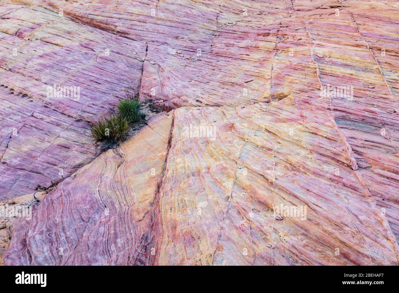 Colorful rock layers in Valley of Fire State Park Stock Photo - Alamy
