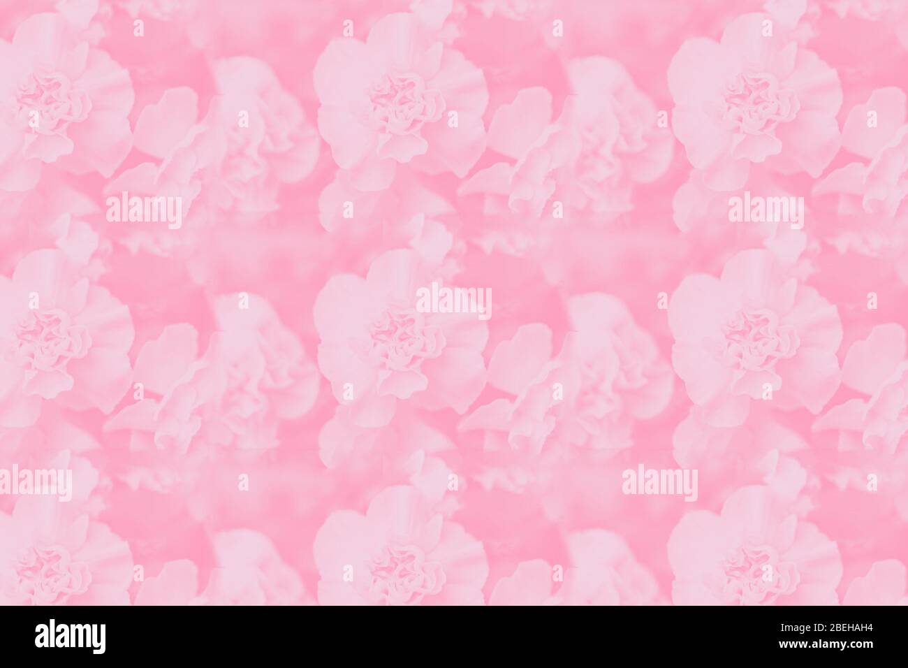 Seamless flowers background. Pale pink floral background, delicate ...
