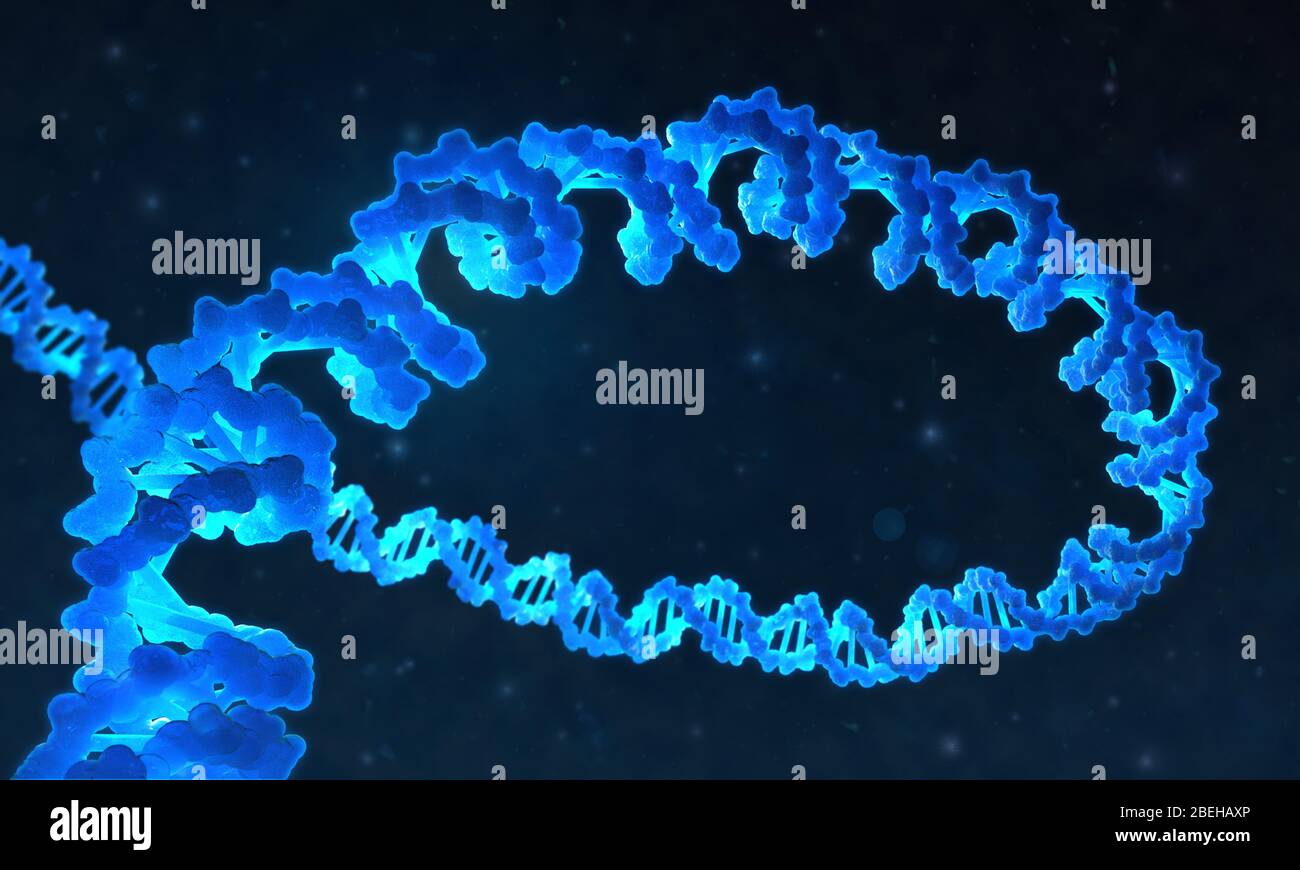 Double helix structure of the dna molecule hi-res stock photography and ...