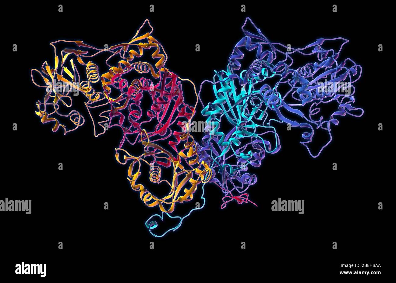 Trna molecule hi-res stock photography and images - Alamy