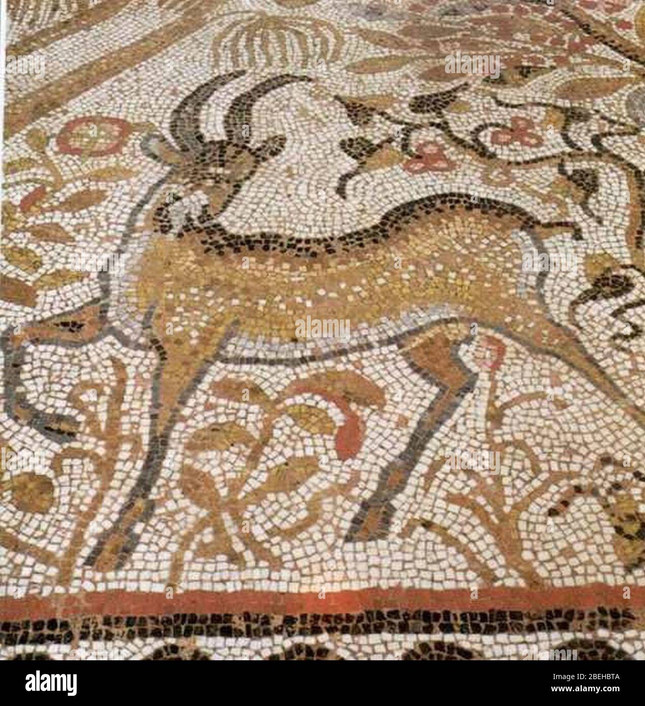 Heraclea hi-res stock photography and images - Alamy