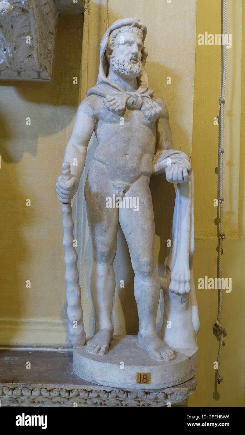 Hercules Lion Skin Coat | atelier-yuwa.ciao.jp