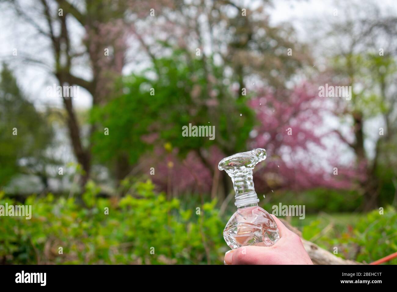 Water Exploding Out of a Plastic Bottle With Trees in the Background ...