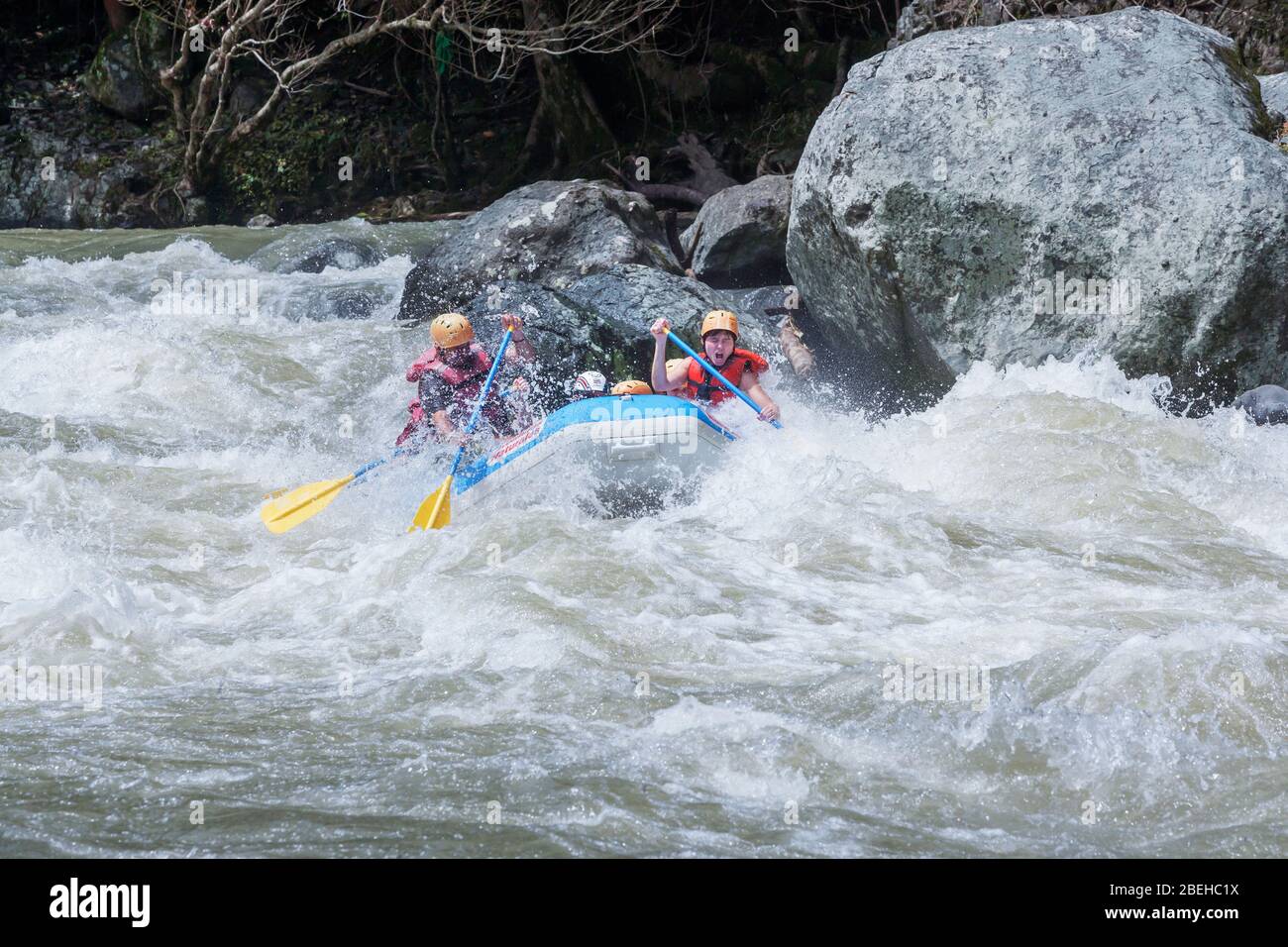 Pacuare river rafting costa rica hi-res stock photography and images ...