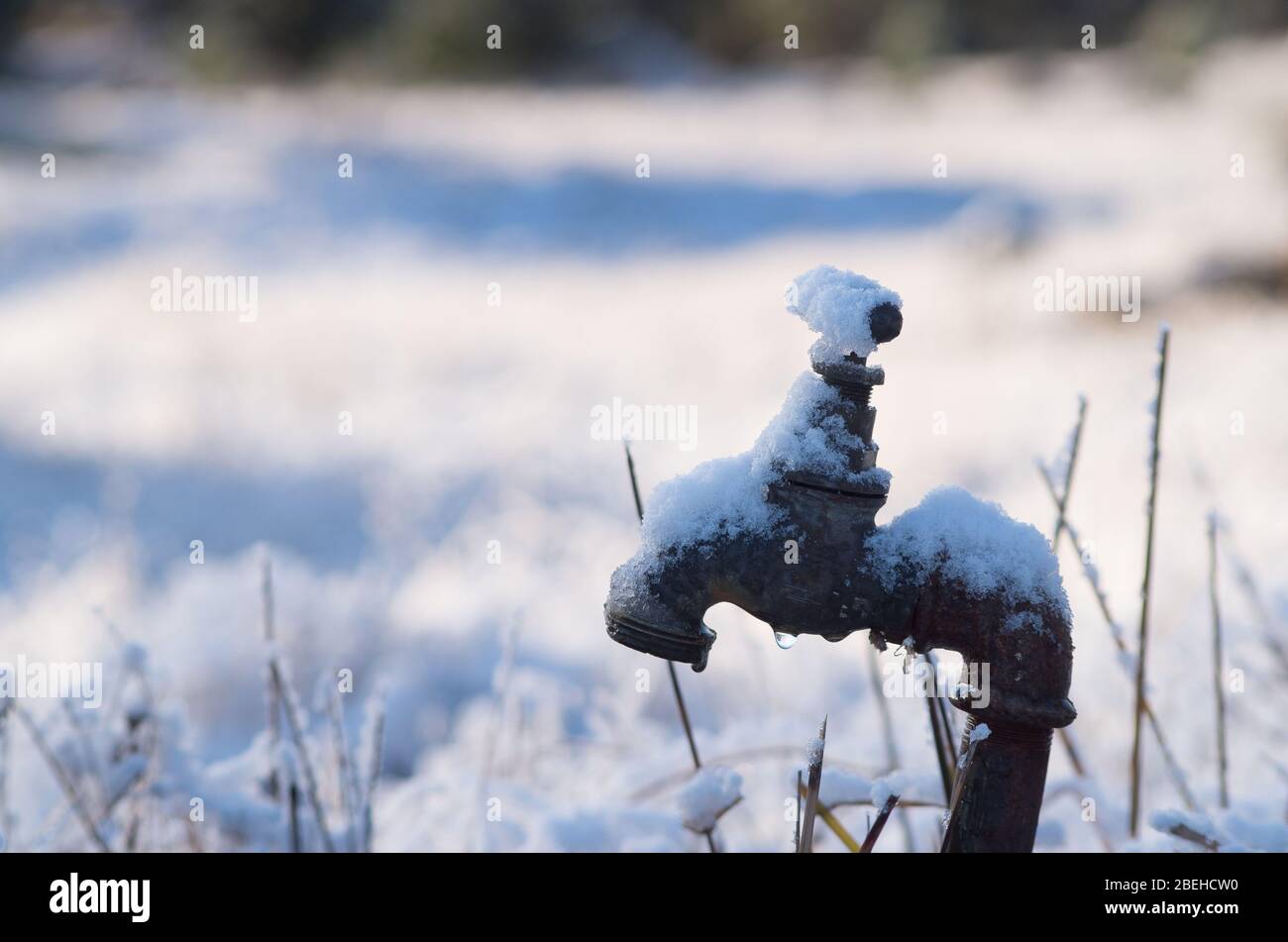 Frost garden australia hi-res stock photography and images - Alamy