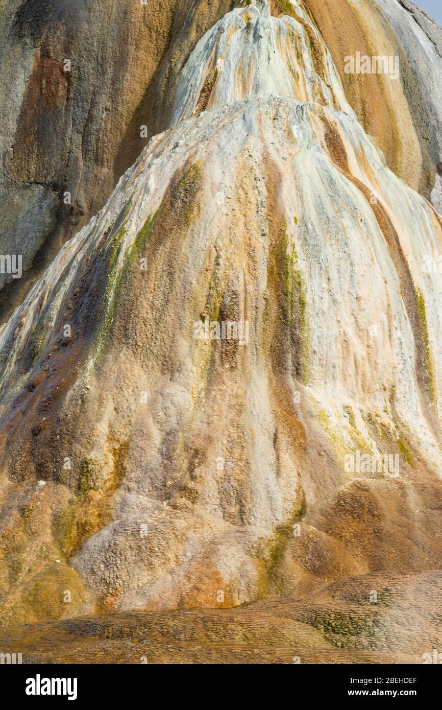 The Orange Spring mound in Yellowstone National Park Stock Photo - Alamy