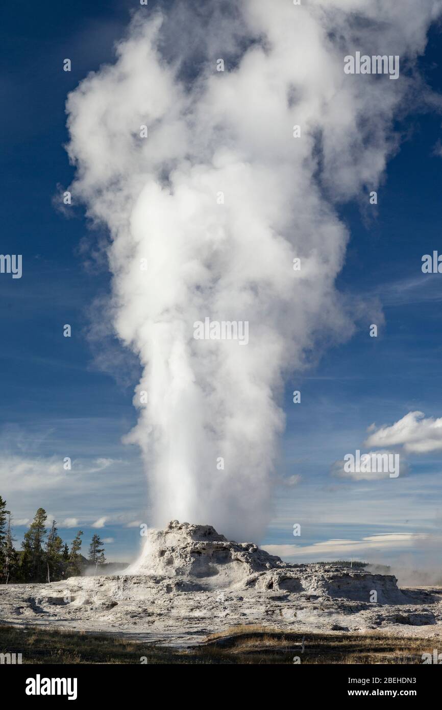 White Dome Geyser erupting in the Lower Geyser Basin of Yellowstone ...