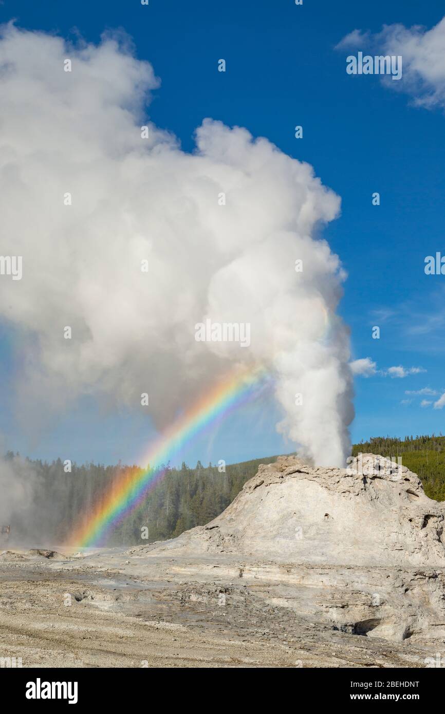 Castle geyser erupting with rainbow in Yellowstone Stock Photo - Alamy