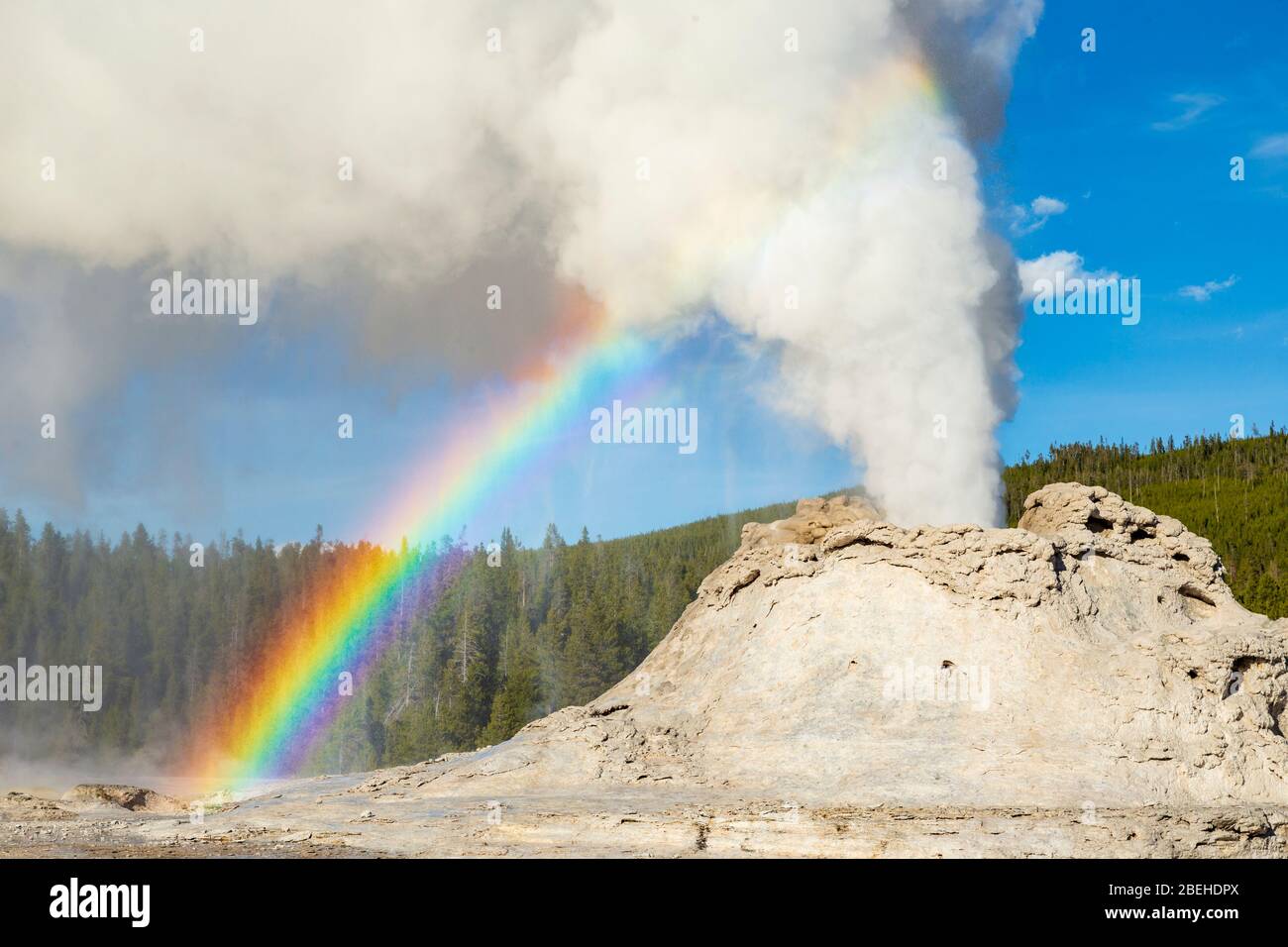 Castle geyser erupting with rainbow in Yellowstone Stock Photo - Alamy