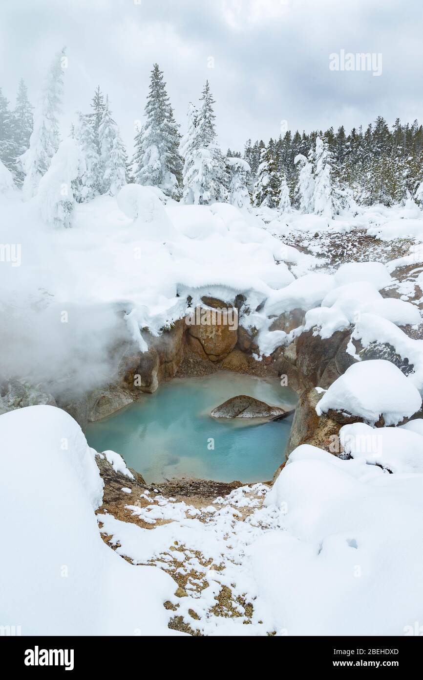 Norris Geyser Basin in Yellowstone National Park Stock Photo - Alamy