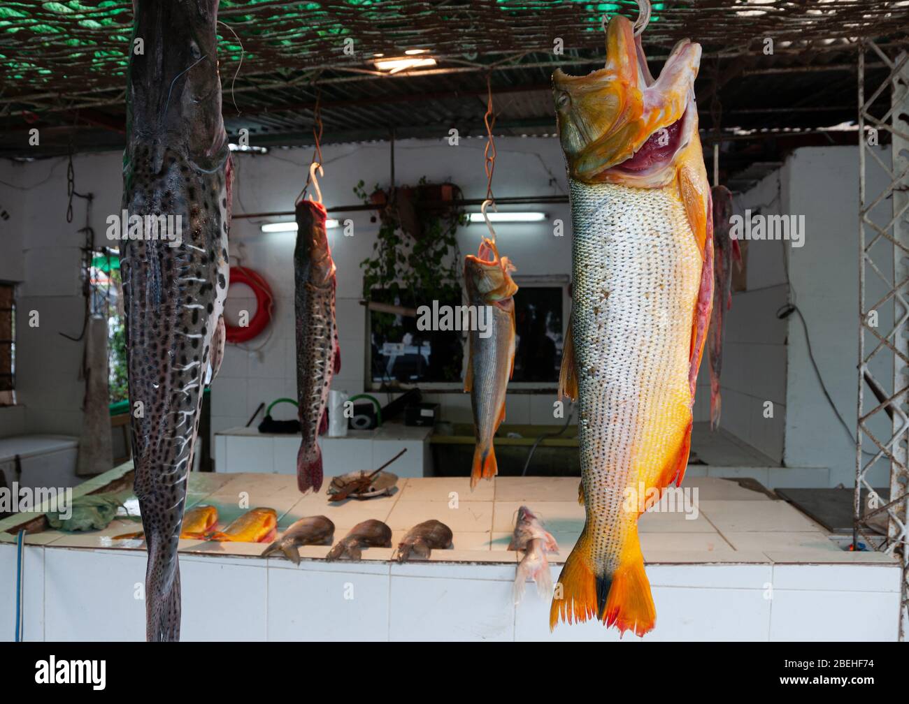 Artisanal fishing hi-res stock photography and images - Alamy