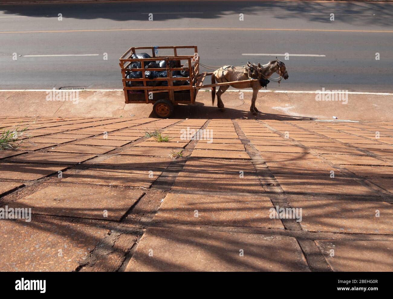 Cart with horse collecting garbage in Brasilia city, Brazil Stock Photo ...