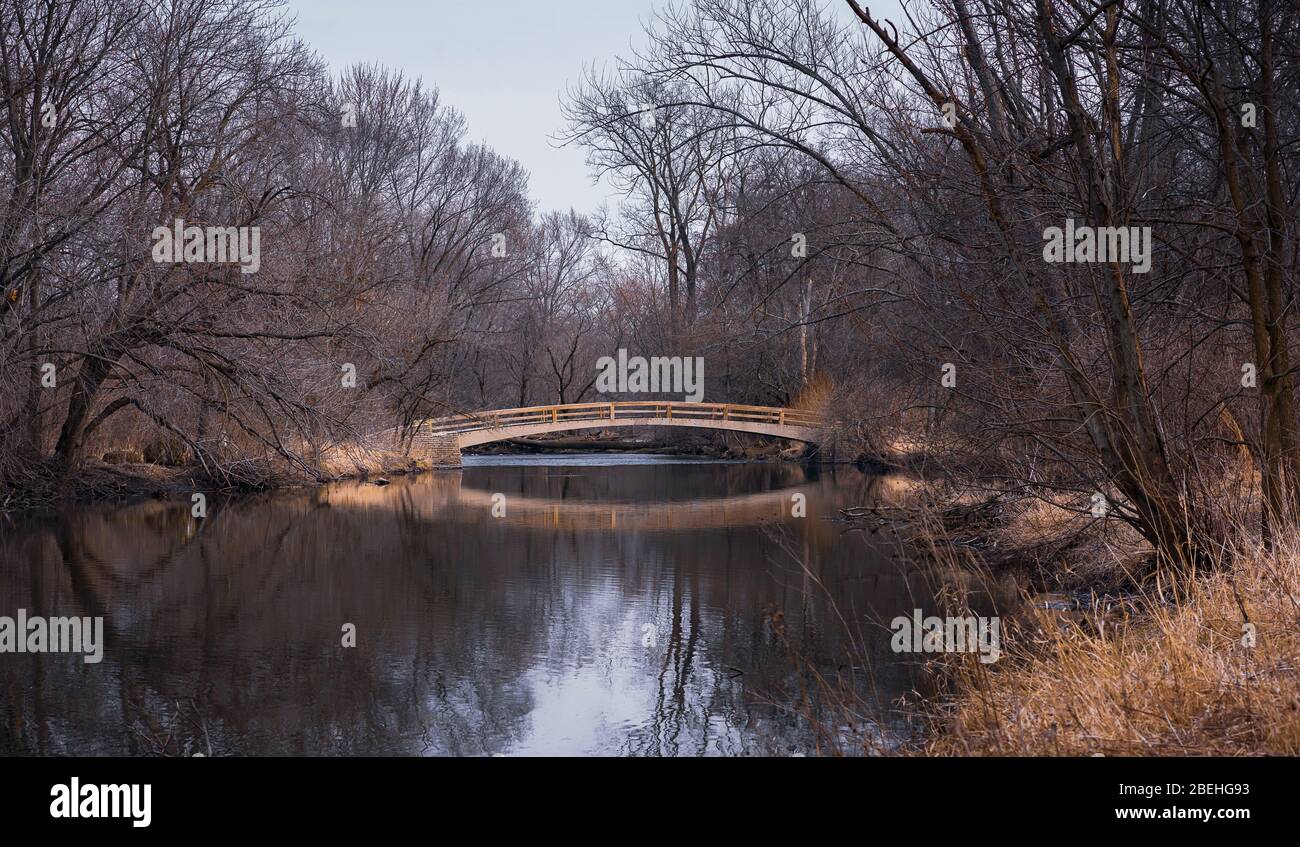 nature at work Stock Photo - Alamy