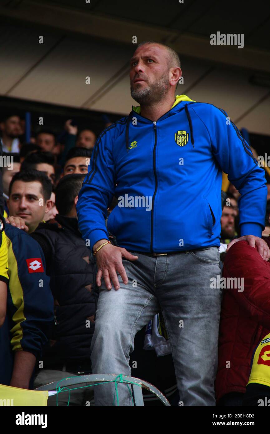 Male turkey fan hi-res stock photography and images - Alamy