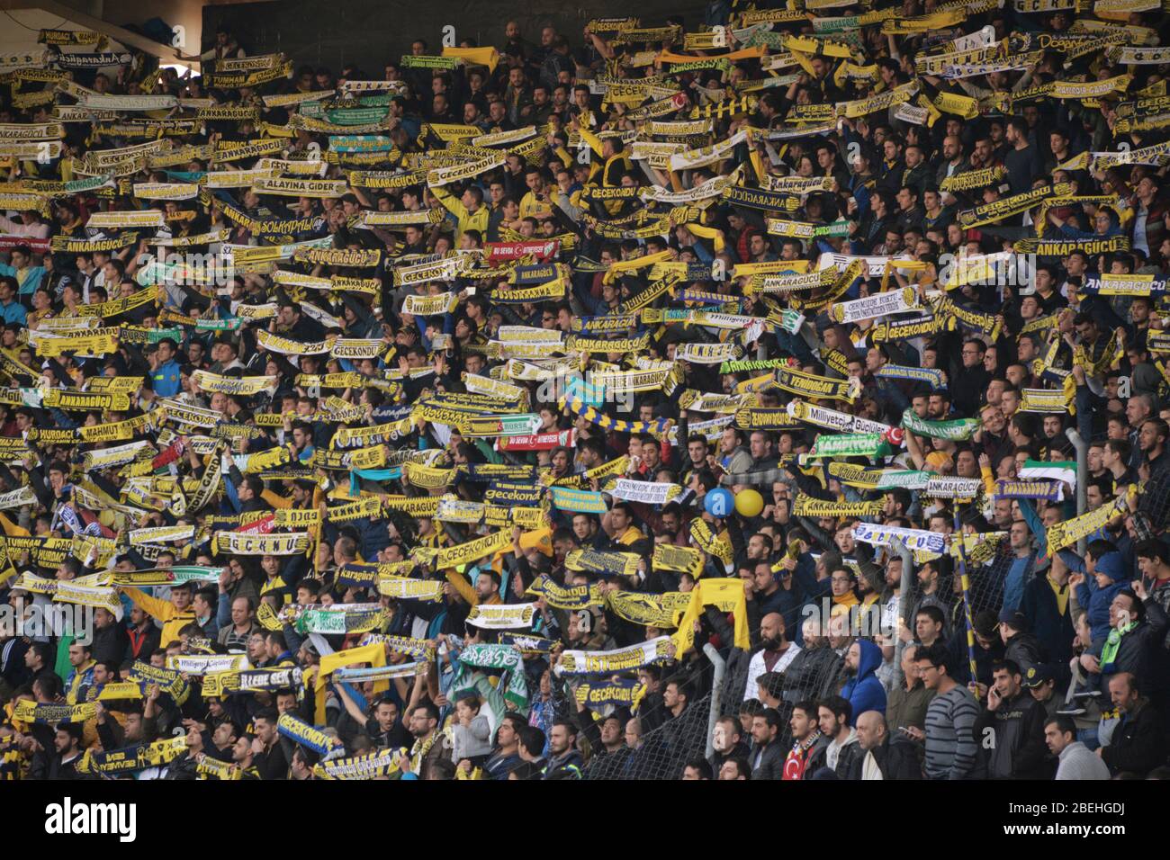 Male turkey fan hi-res stock photography and images - Alamy