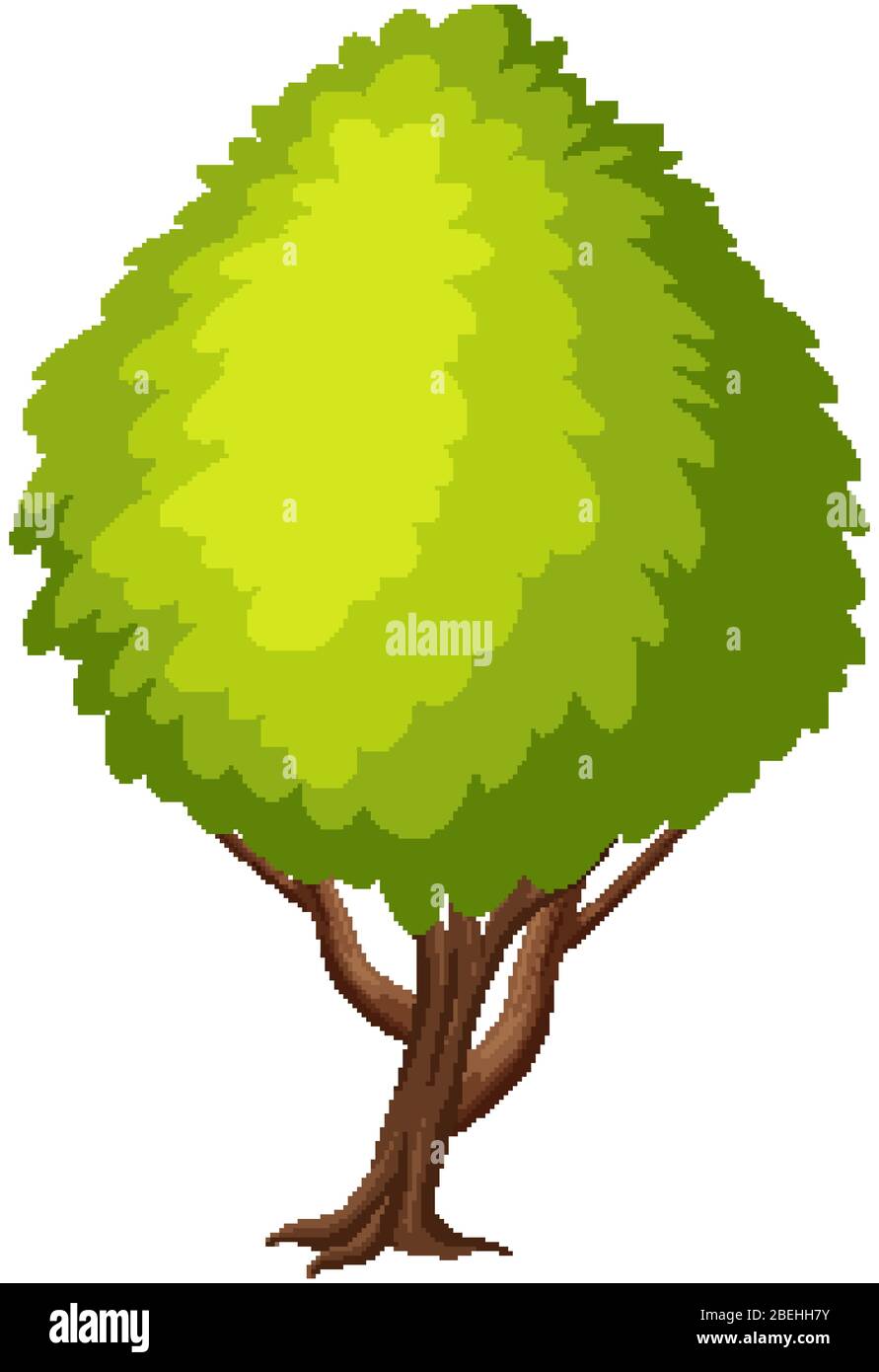 One big tree on white background illustration Stock Vector Image & Art ...