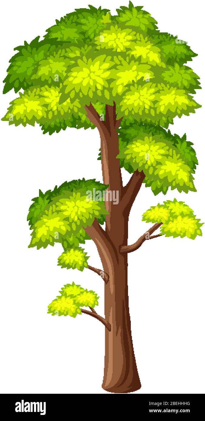 One big tree on white background illustration Stock Vector Image & Art ...
