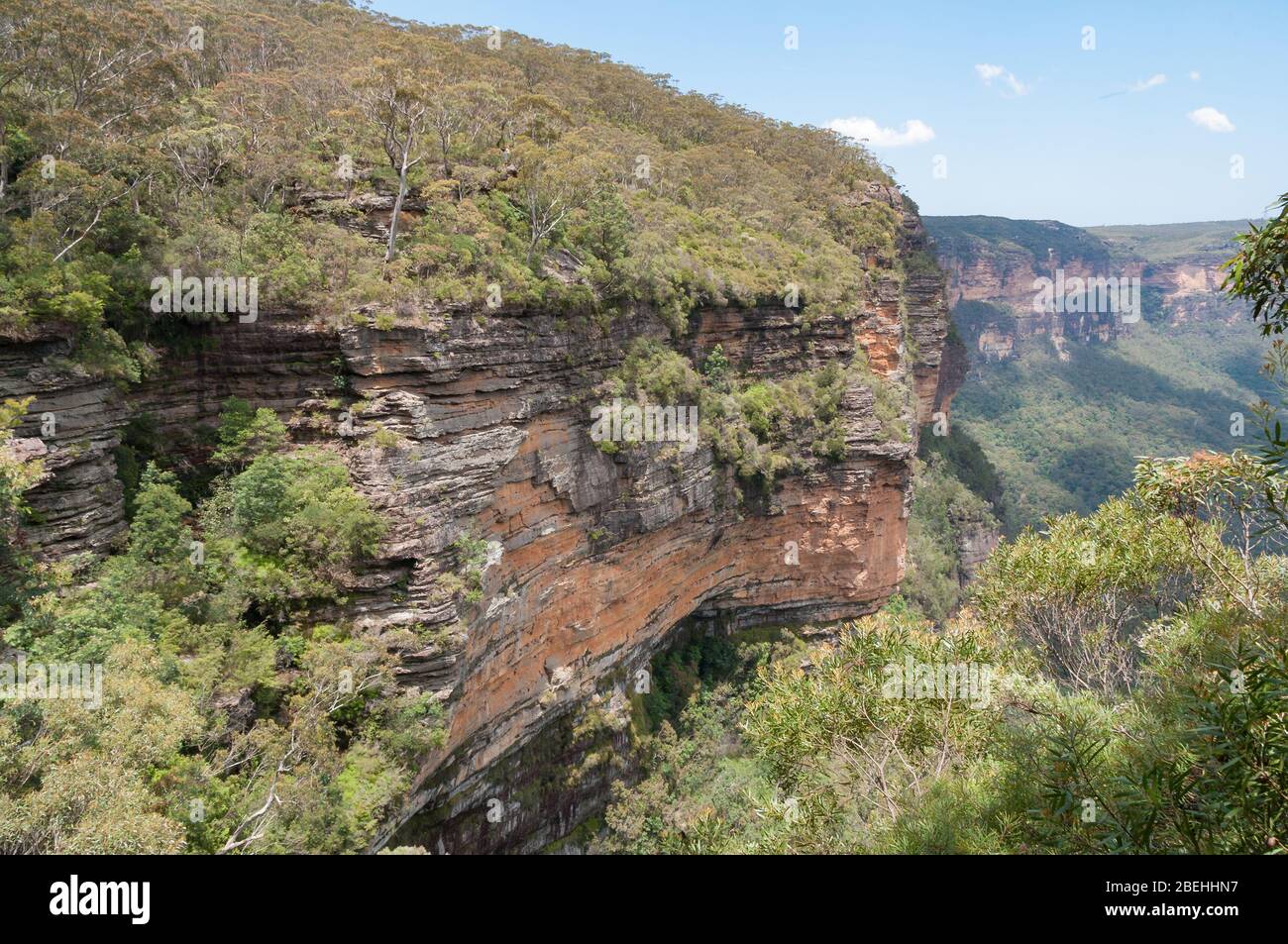 Panoramic view on layered red cliffs covered with dense eucalyptus ...