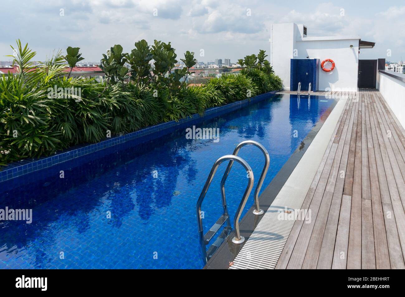 Rooftop swimming pool with wooden floor surrounded by tropical plants ...