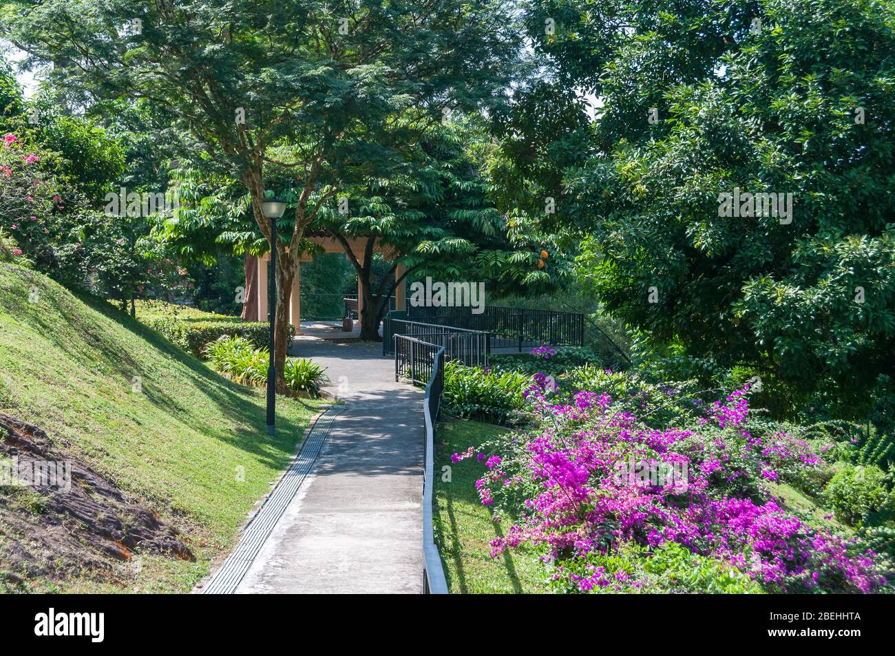 Mount faber park hi-res stock photography and images - Alamy
