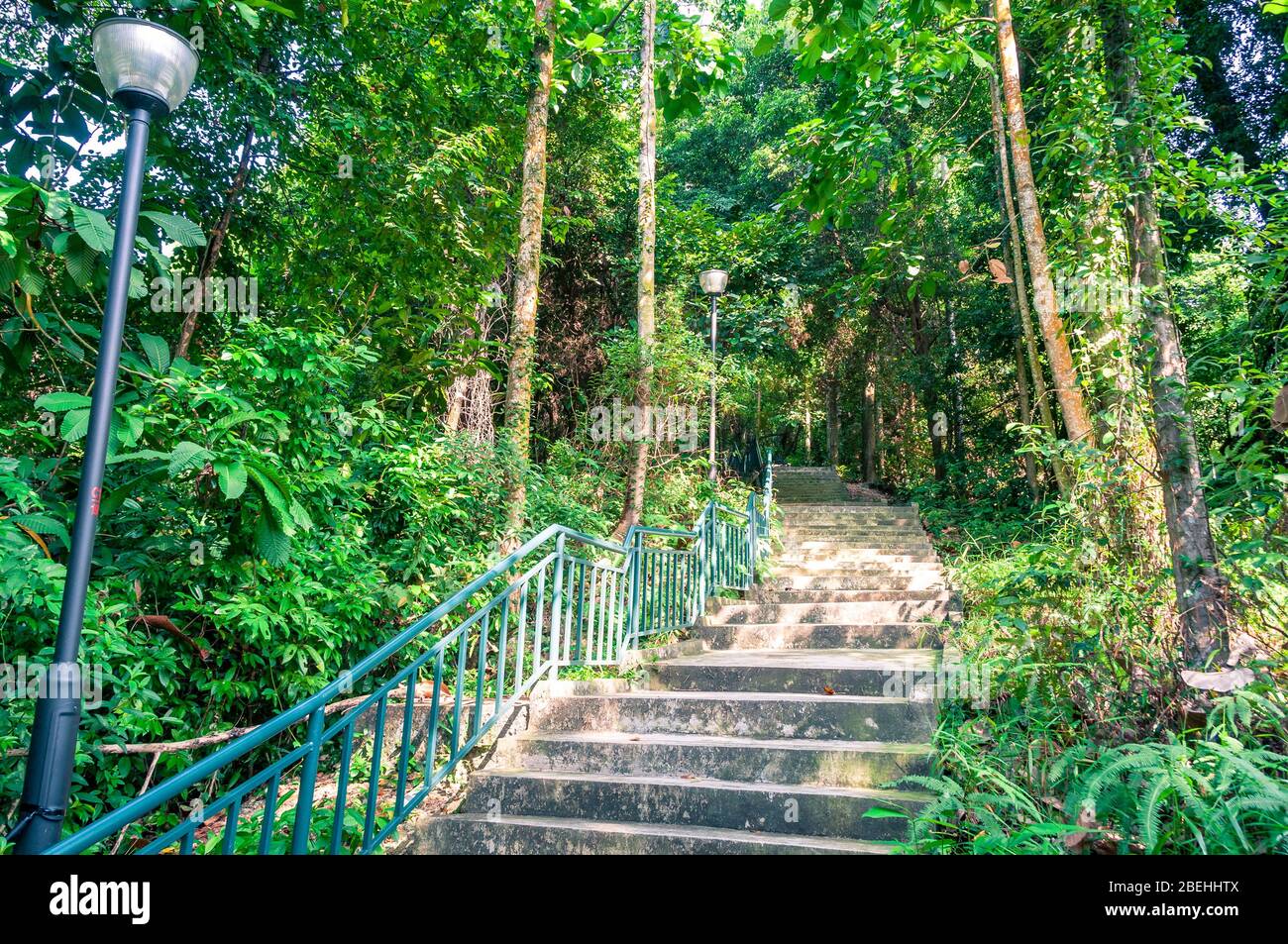 Stairs in tropical park with green lush trees on sunny day. Mount Faber ...