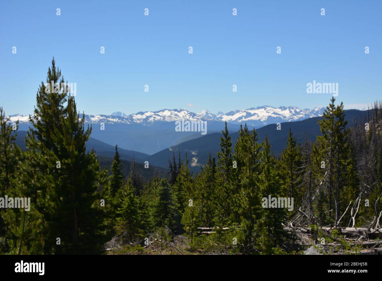 Highway 20 visible while hiking on the Chilcotin plateau, British ...