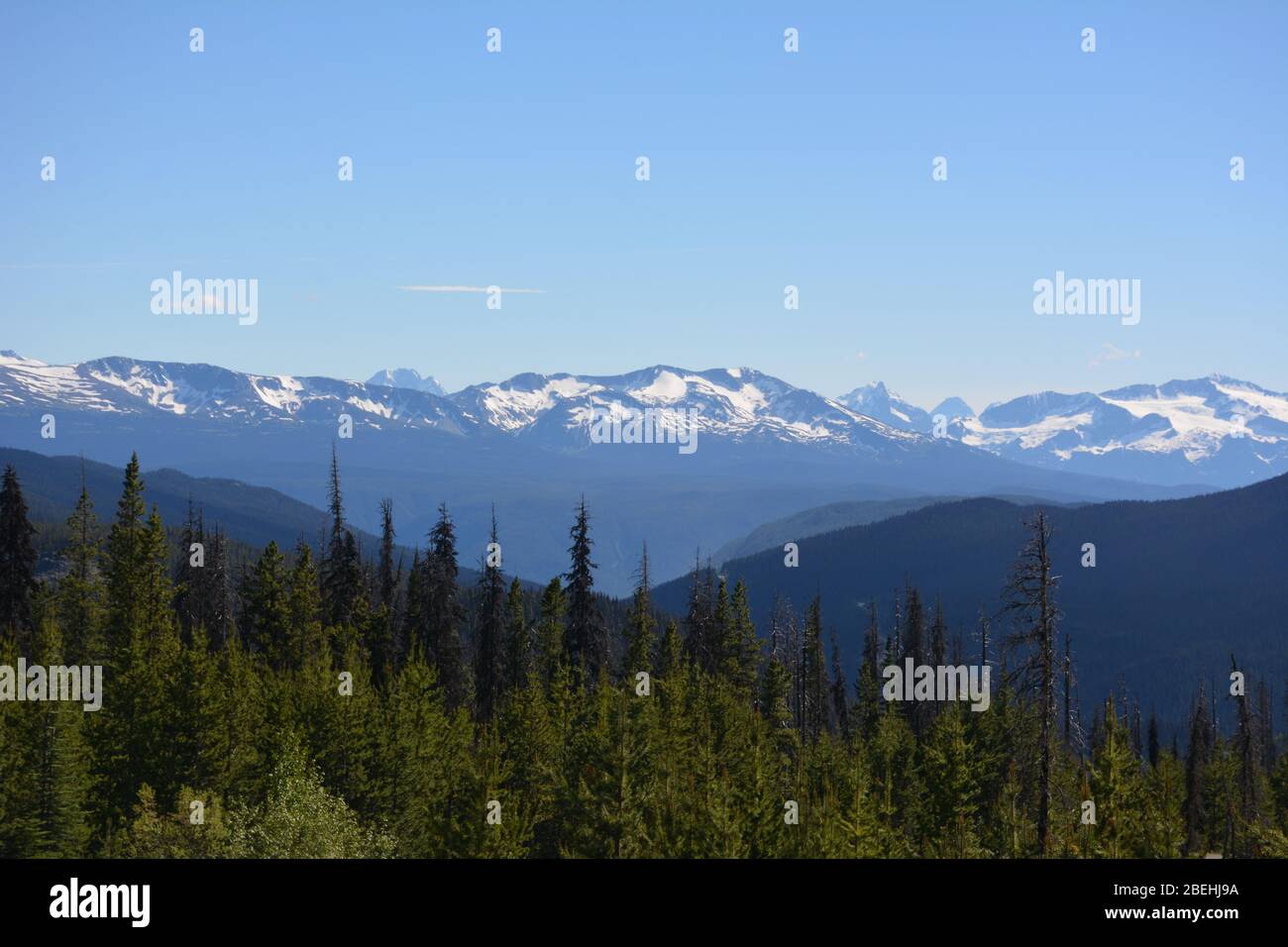 Hiking on the Chilcotin plateau, near Highway 20 from Bella Coola ...