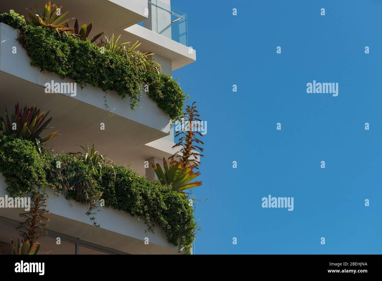 White modern building decorated with green tropical plants. Sustainable ...