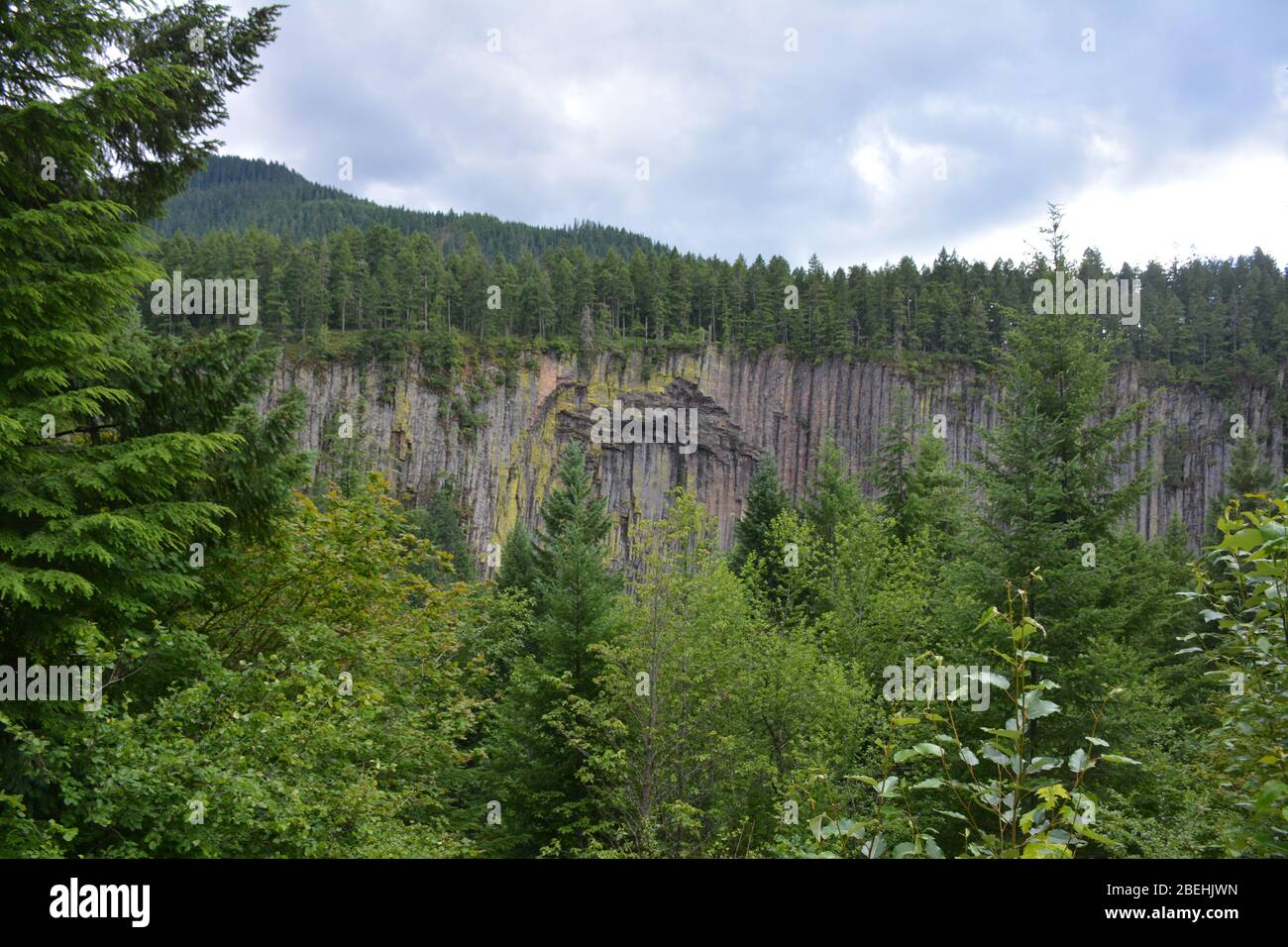 The Palisades are dacite columns seen from a scenic stop in the Mather ...