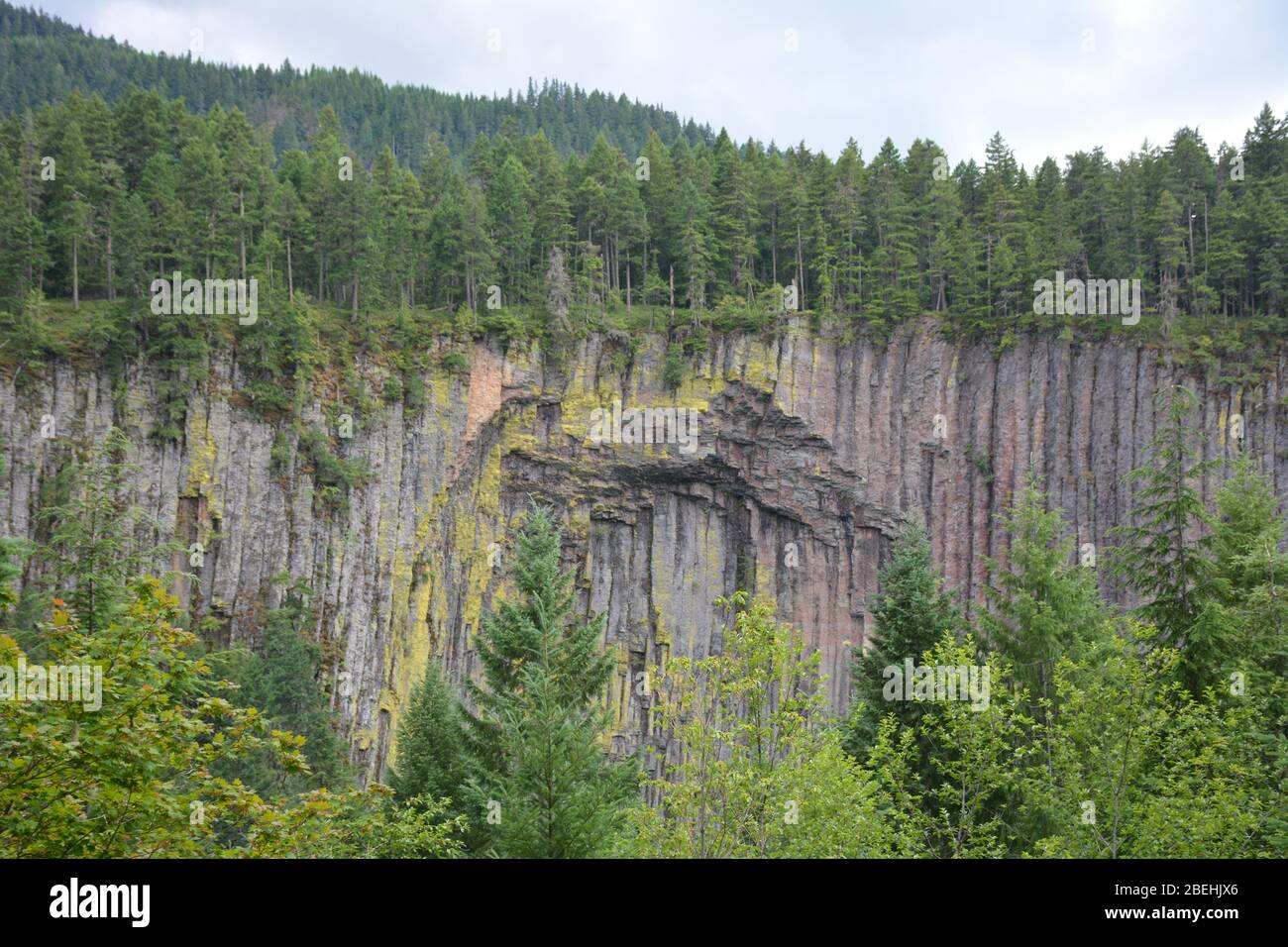 The Palisades are dacite columns seen from a scenic stop in the Mather ...