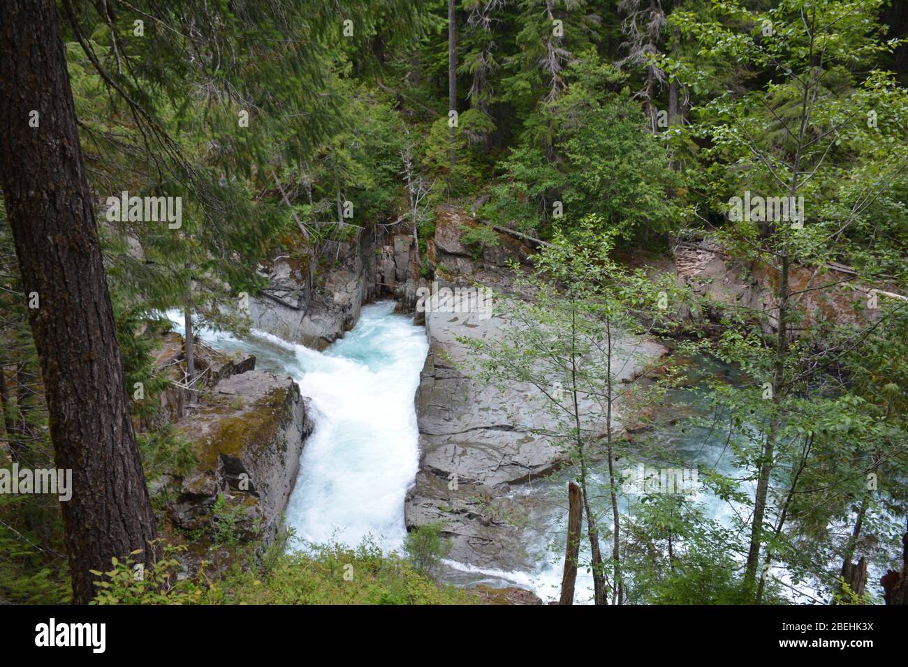Silver Falls waterfall as seen from the Silver Falls Loop Trail ...