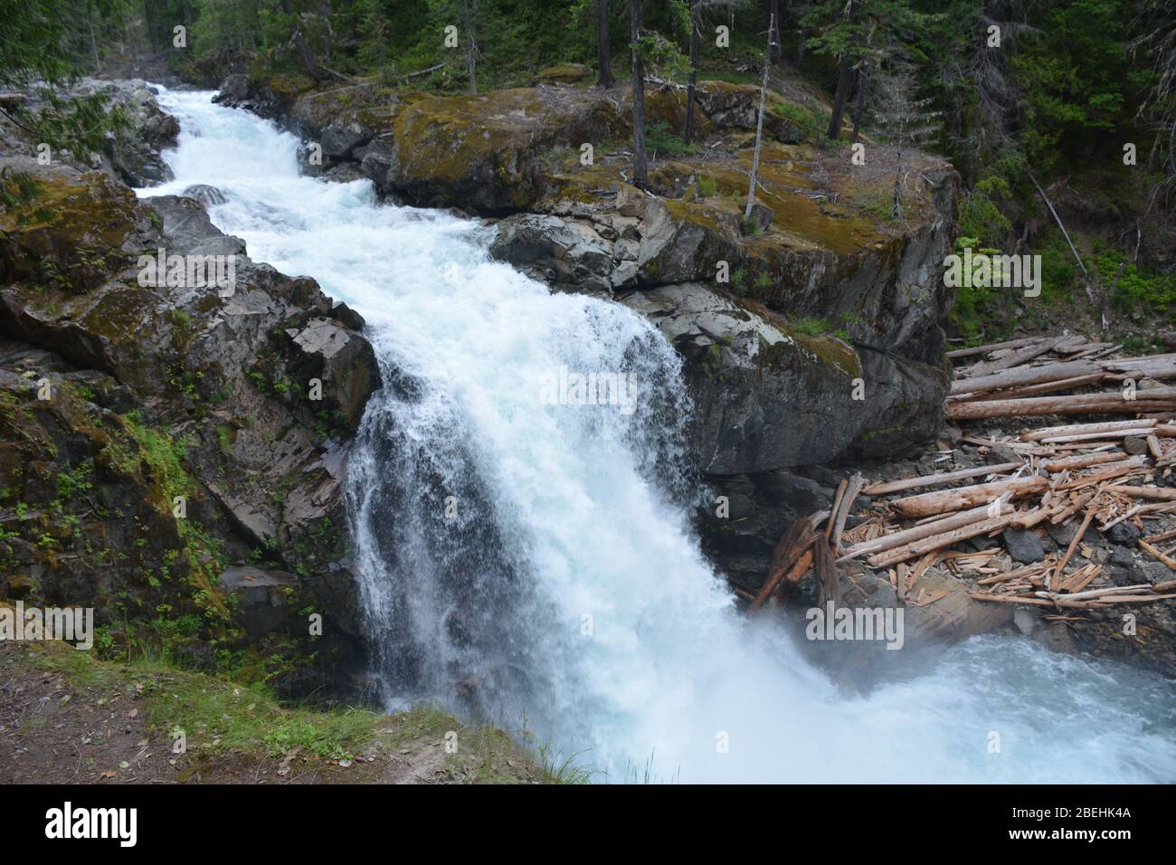 Silver Falls waterfall as seen from the Silver Falls Loop Trail ...