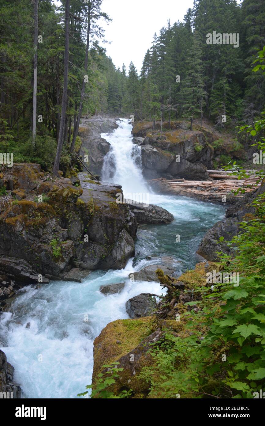 Silver Falls waterfall as seen from the Silver Falls Loop Trail ...