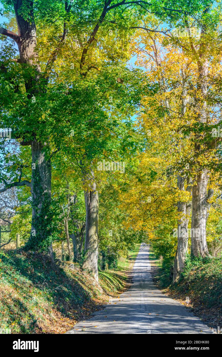 Quiet and beautiful scenery hi-res stock photography and images - Alamy