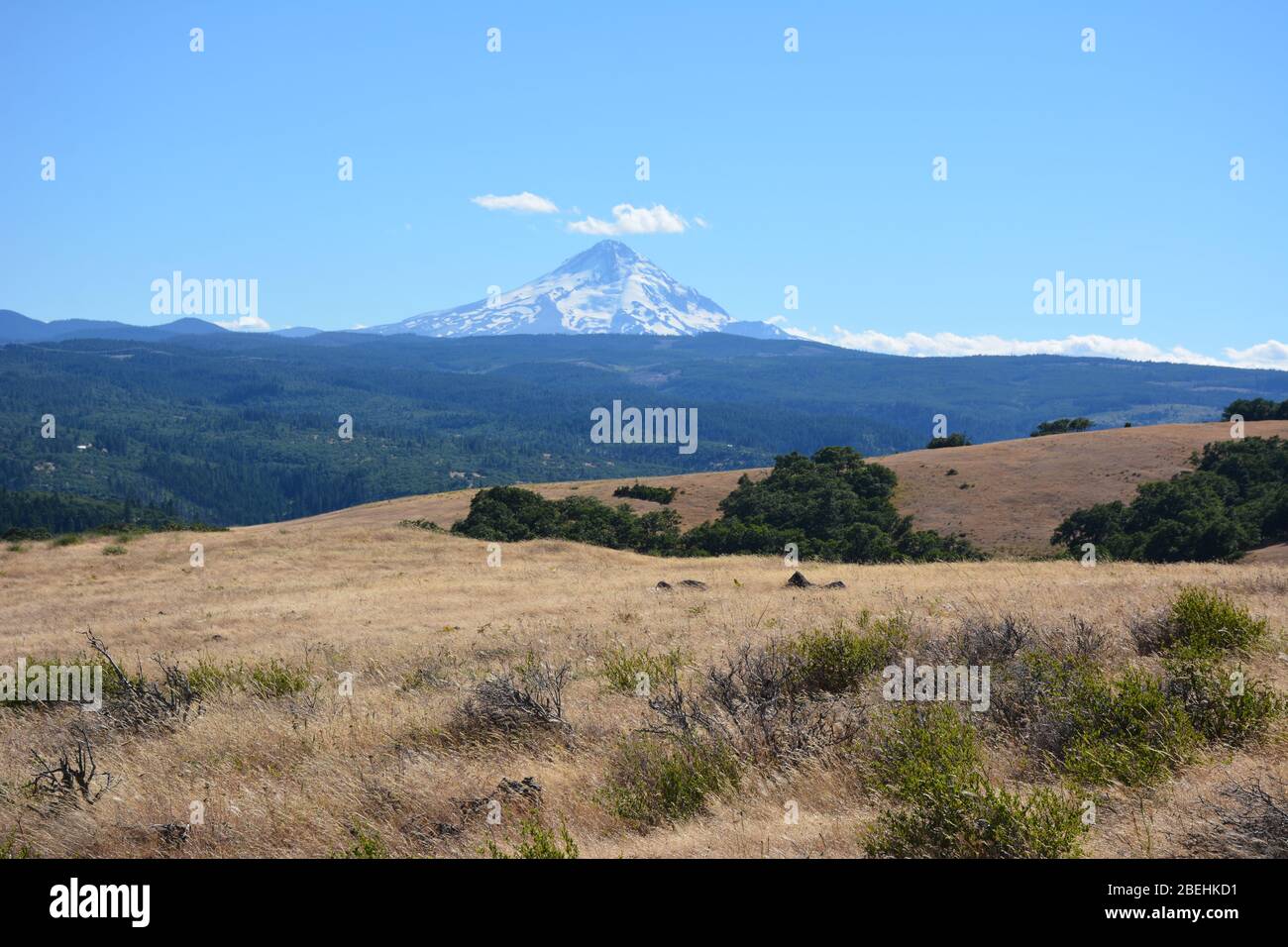 Mt hood views hi-res stock photography and images - Alamy