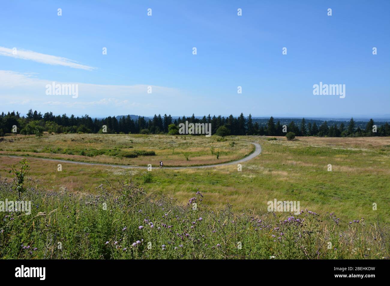 Walking paths at the top of Powell Butte Nature Park, Portland, Oregon ...
